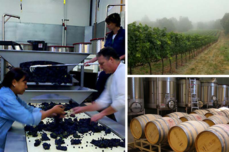 Vina Moda Winery | Winemaker Nathan Vader Sierra Foothills